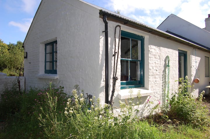 Tiny Cosy Snug - Fishguard