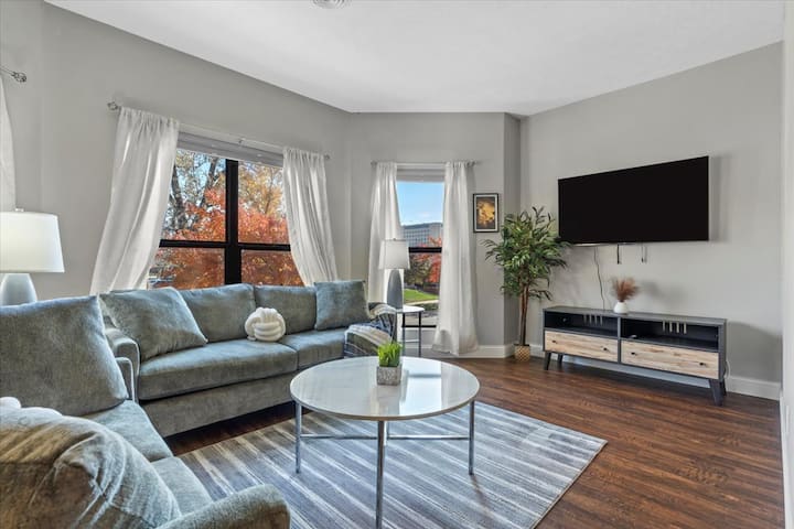 The Gray Cozy Suite In Downtown - Springfield, IL