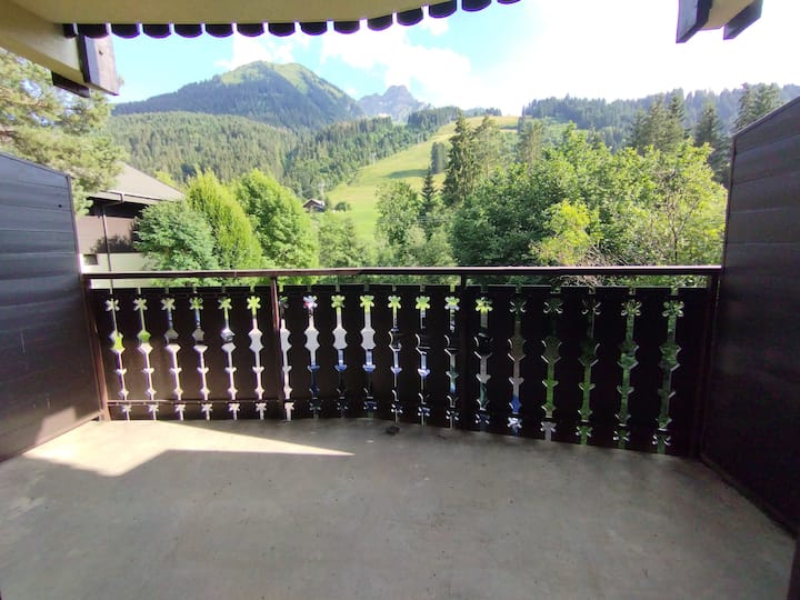 Domaine Châtel Logement Studio 21m² 4 / 5 Pers - Abondance