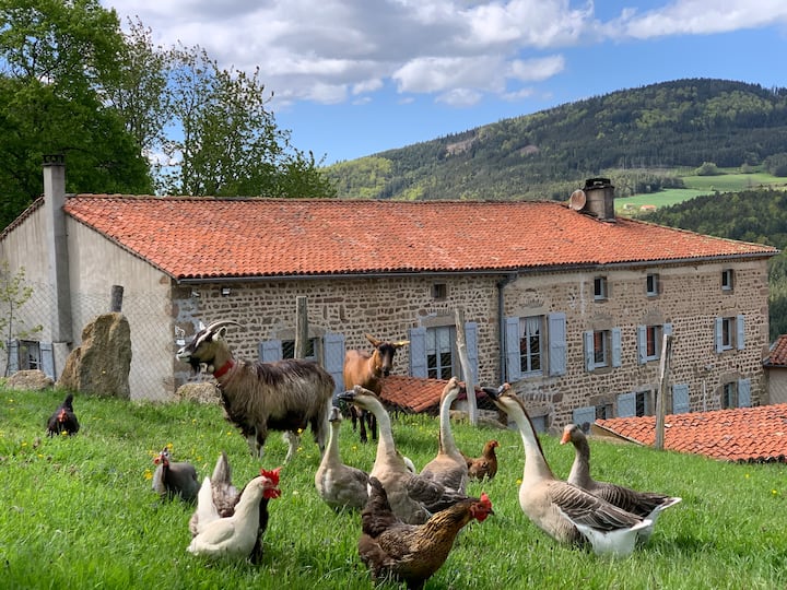 Weekend à La Campagne Gîte Au Temps Passé
Sauvain - Chalmazel