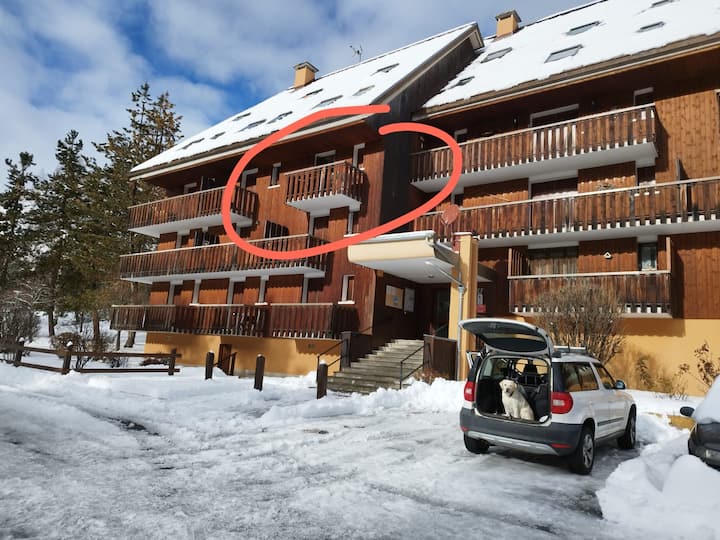 Studio Location Saisonnière - Lac d'Allos