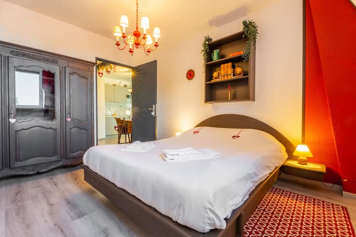 Logement Traditionnel Au Style Alsacien Central - Mulhouse