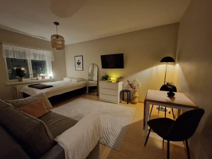 Compact And Cozy Apartment - Finlandia