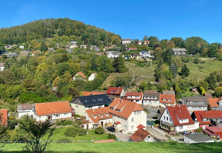 Ferienwohnung "Silberbach" Im Haus Gerlach - Walkenried