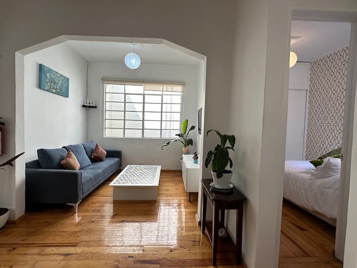 Comfortable And Nice Apartment In Condesa 203 - Mexico City