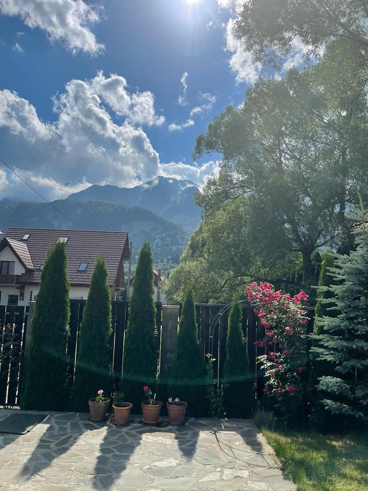 Vila Miro Monte - Bușteni