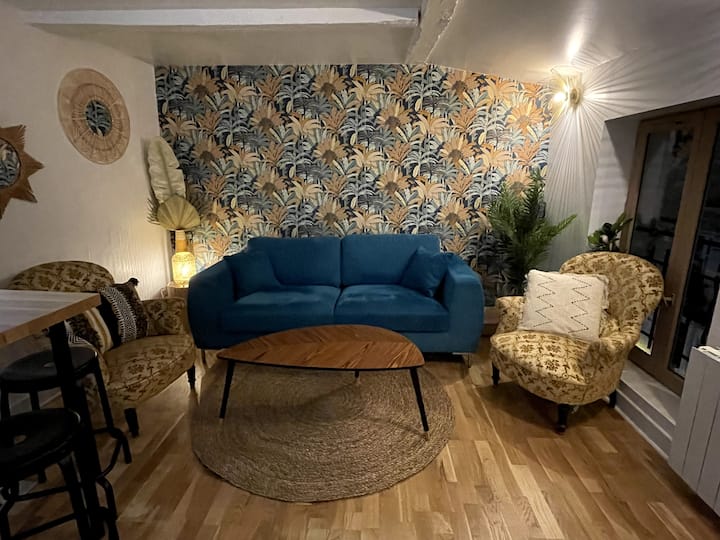 Appartement Jungle Hyper Centre - Saran