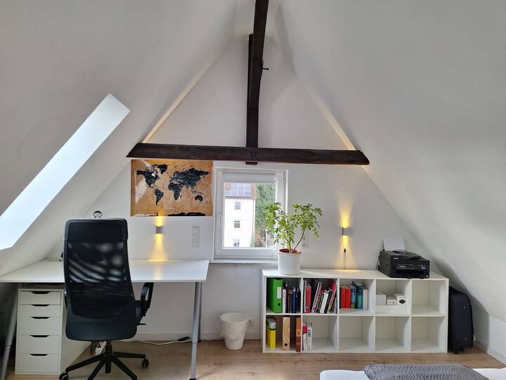 Dg-ferienwohnung Im Springerhof - Lohr am Main