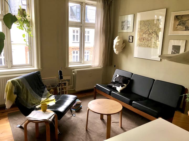 Lejlighed I Hjertet Af Nørrebro - Copenhague