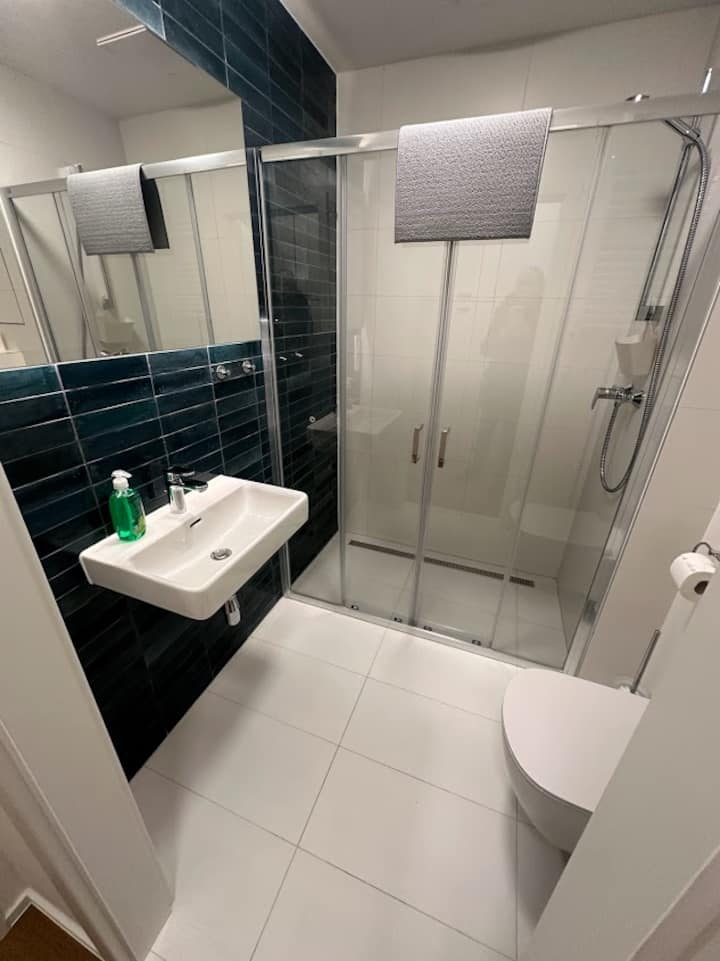 Apartman S Terasou - Brno