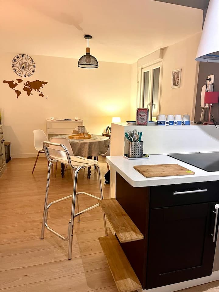Maison Avec Extérieur - Lille - Lille