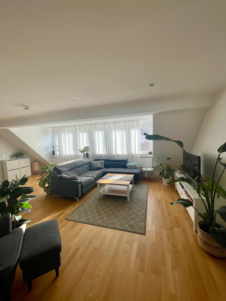 Spacious & Bright Apartment Near The Trade Fair - Colônia