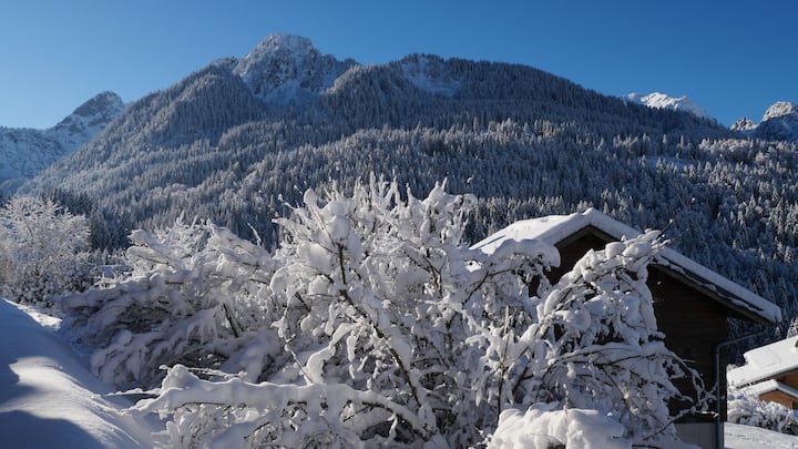 Grand Deux Pièces Calme Et Cosy - Lac de Tavaneuse