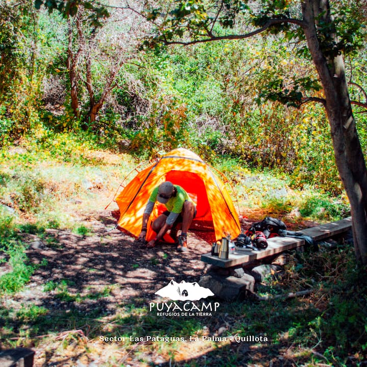 Puyacamp, Sitios De Camping - Quillota