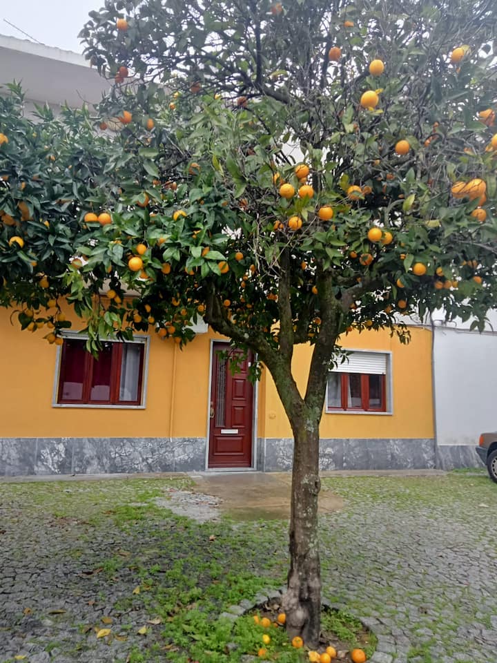 Evora Domus - Évora District