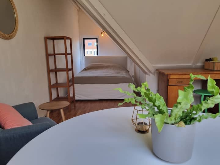 Knusse Kamer Met Eigen Keuken - Nijmegen