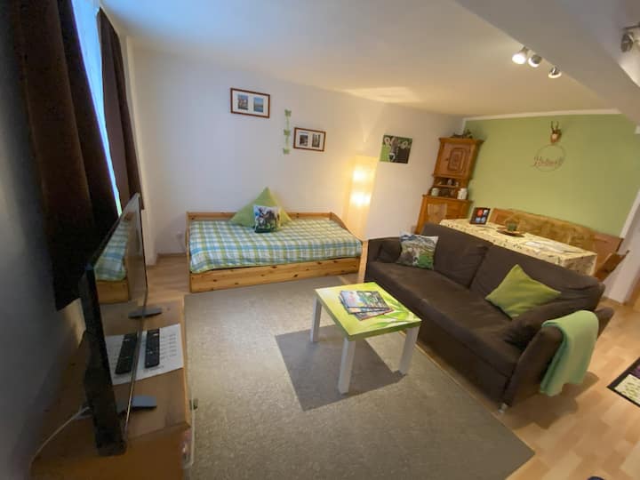 Füssen, Groundfloor Apartmemt, Wifi-"casa Fuessen" - Haldensee