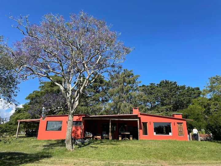 Chacra El Cobijo, Punta Del Este, Punta Ballena - San Carlos