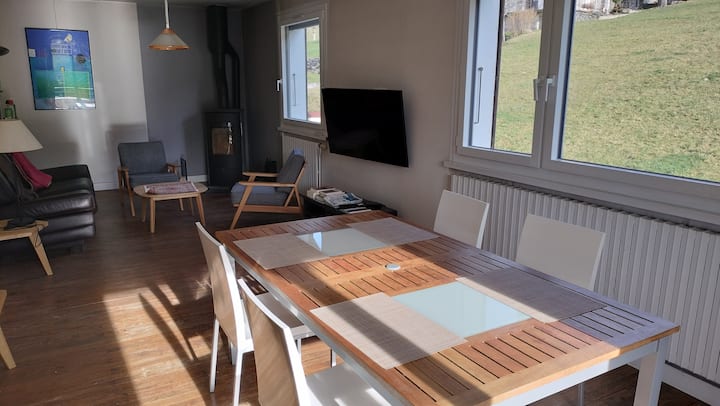 Annecy Lac Et Montagnes - Lake Annecy