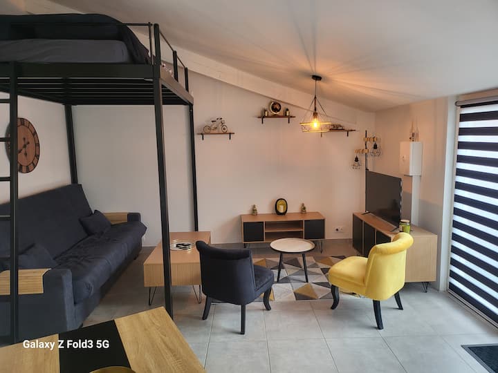 Petite Maison Cosy. - Albi
