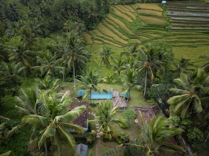 Alaya Padi Private Villa Ubud - Ubud