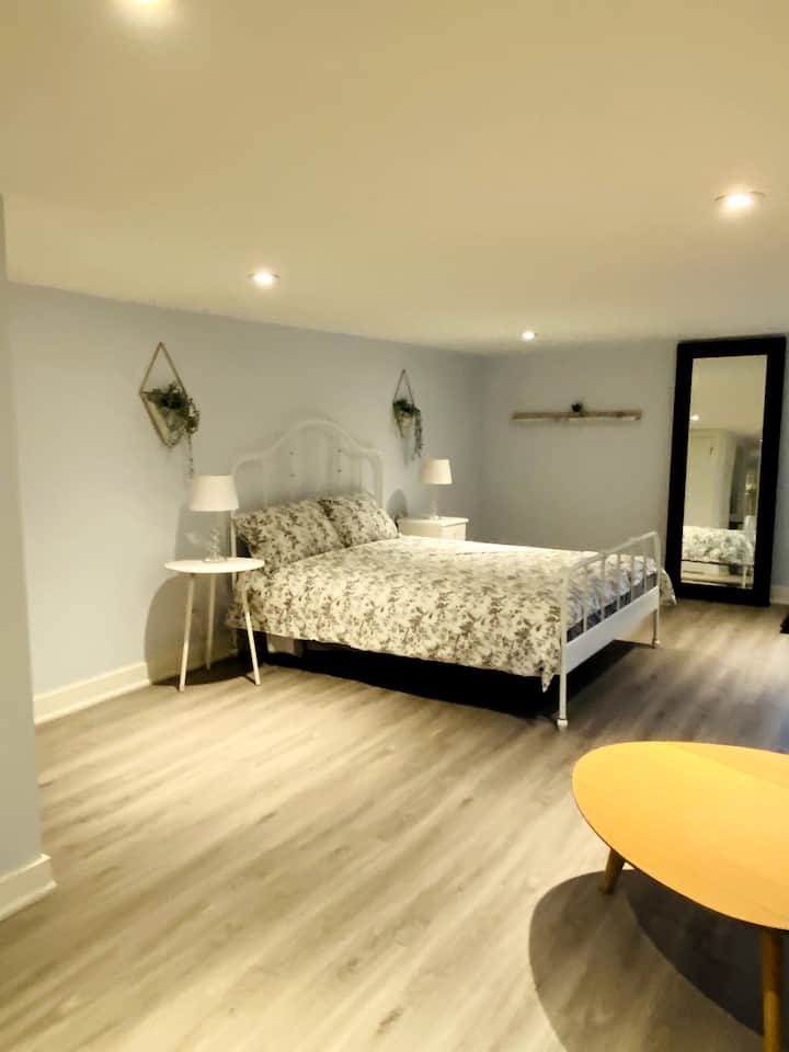 Newly Upgraded, Furnished Studio. New Stove/fridge - Toronto