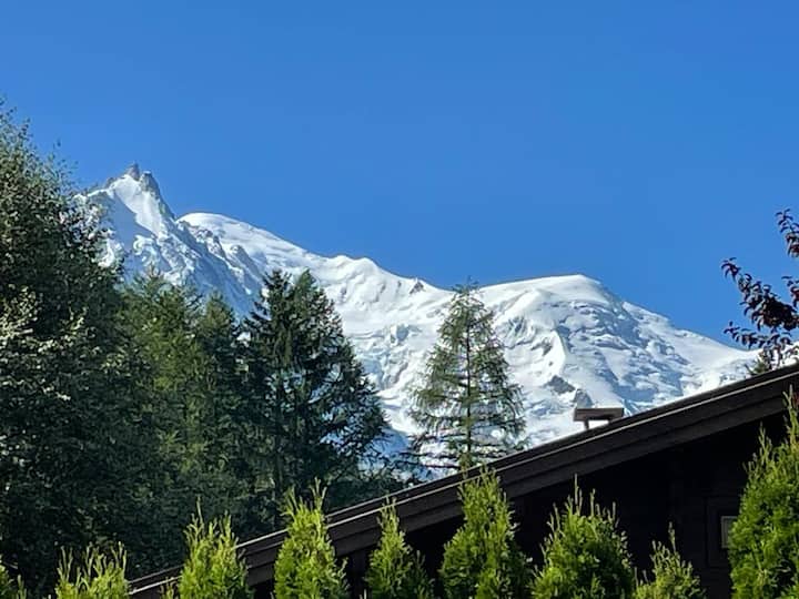 Appartement Argentière - Chamonix-Mont-Blanc