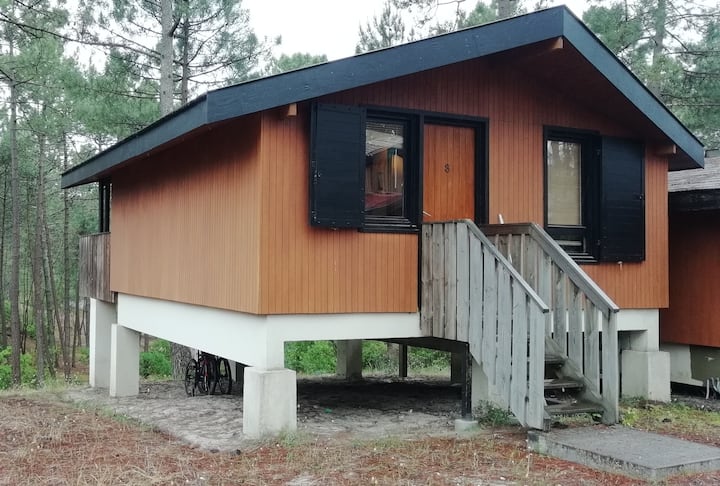 Chalet 3 Pièces Dans La Pinède - Carcans