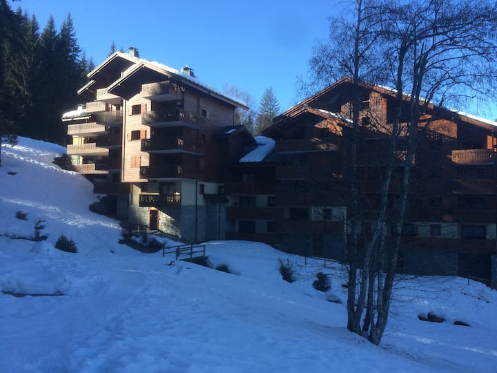 Morillon 1100 Beau 3p Ski Aupied - Morillon
