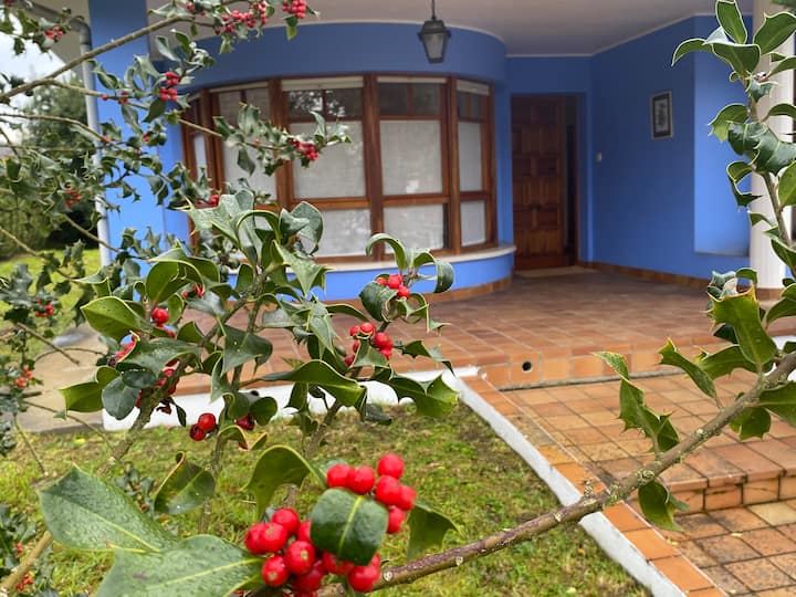 Villa Acebo - Villaviciosa