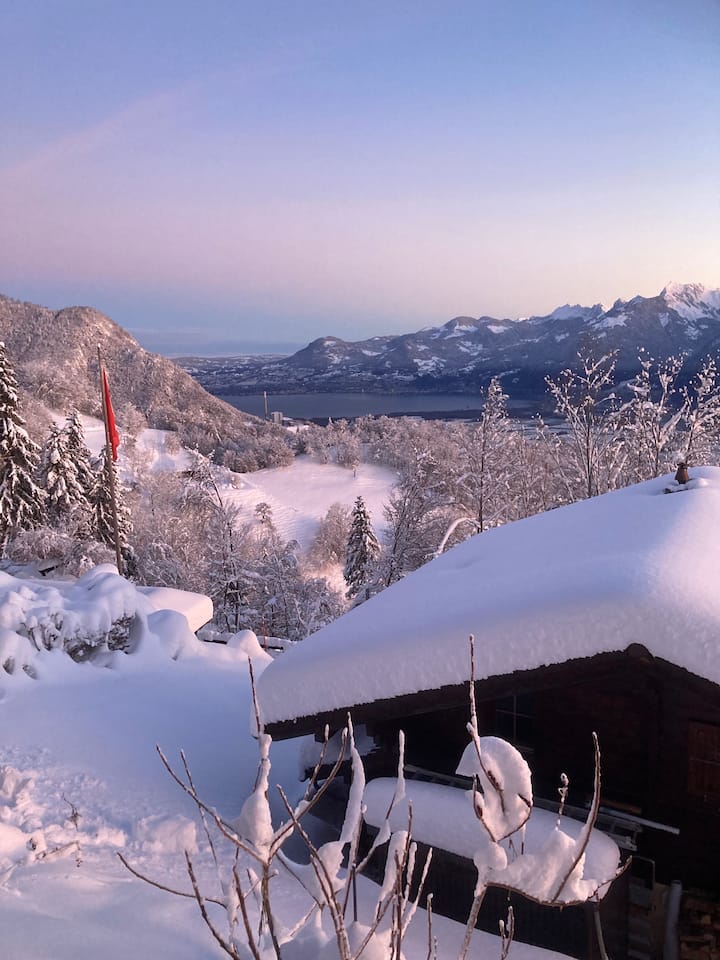 Torgon Chalet Portes Du Soleil Vue Lac - Châtel