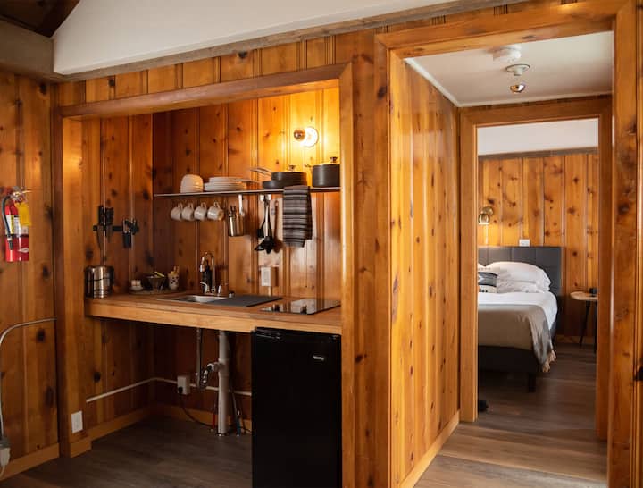 The Cabin Suite In Boutique Hotel - Pagosa Springs, CO
