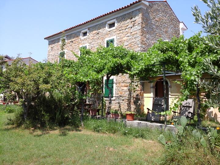 Tourist Farm Medljan 1 | Apartment | Nature - Capodistria
