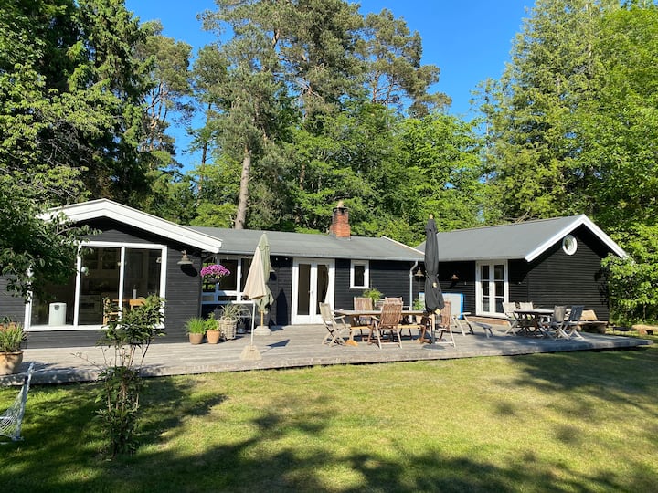 Holiday Idyll In The Woods - Denmark