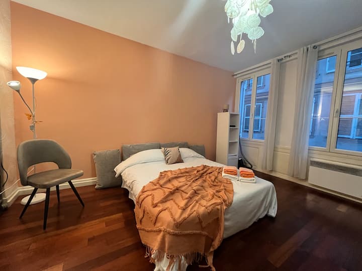 Appartement Proche Cathédrale - Hôpital de Hautepierre