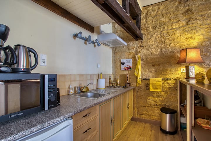 Studio Flamboyant Jaune, Au Coeur De Sarlat. - La Roque-Gageac