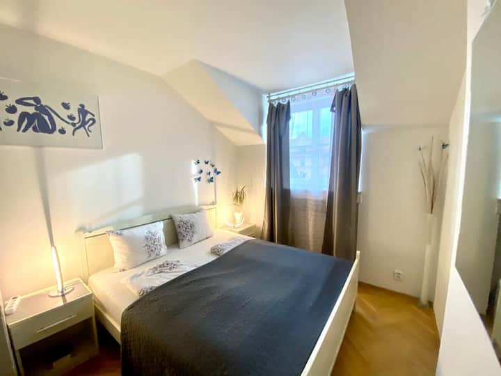 Outsanding Apartment In The City Center -