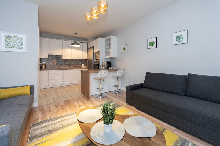 Luxury In City (12) Free Parking - Łódź