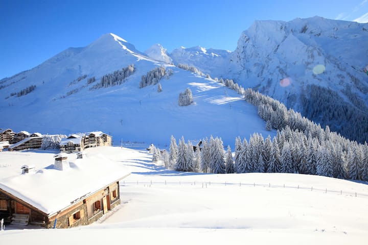Chalet La Trafolée - Manigod, Près De La Clusaz - Manigod