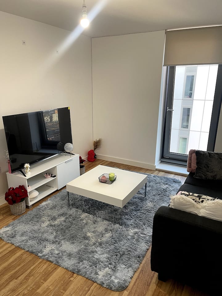Cozie Br Apartment - Manchester