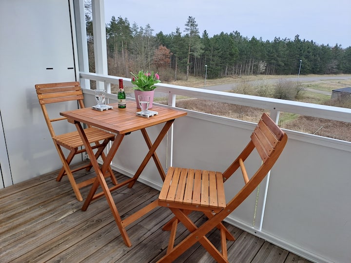 Burgk59 - 3br Apartment, Tv, Balcony - Muldestausee