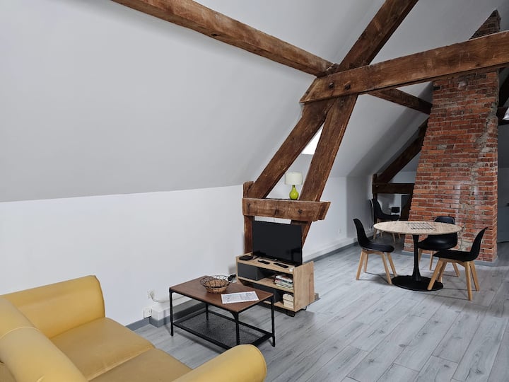 Loft' Botero - Beaugency