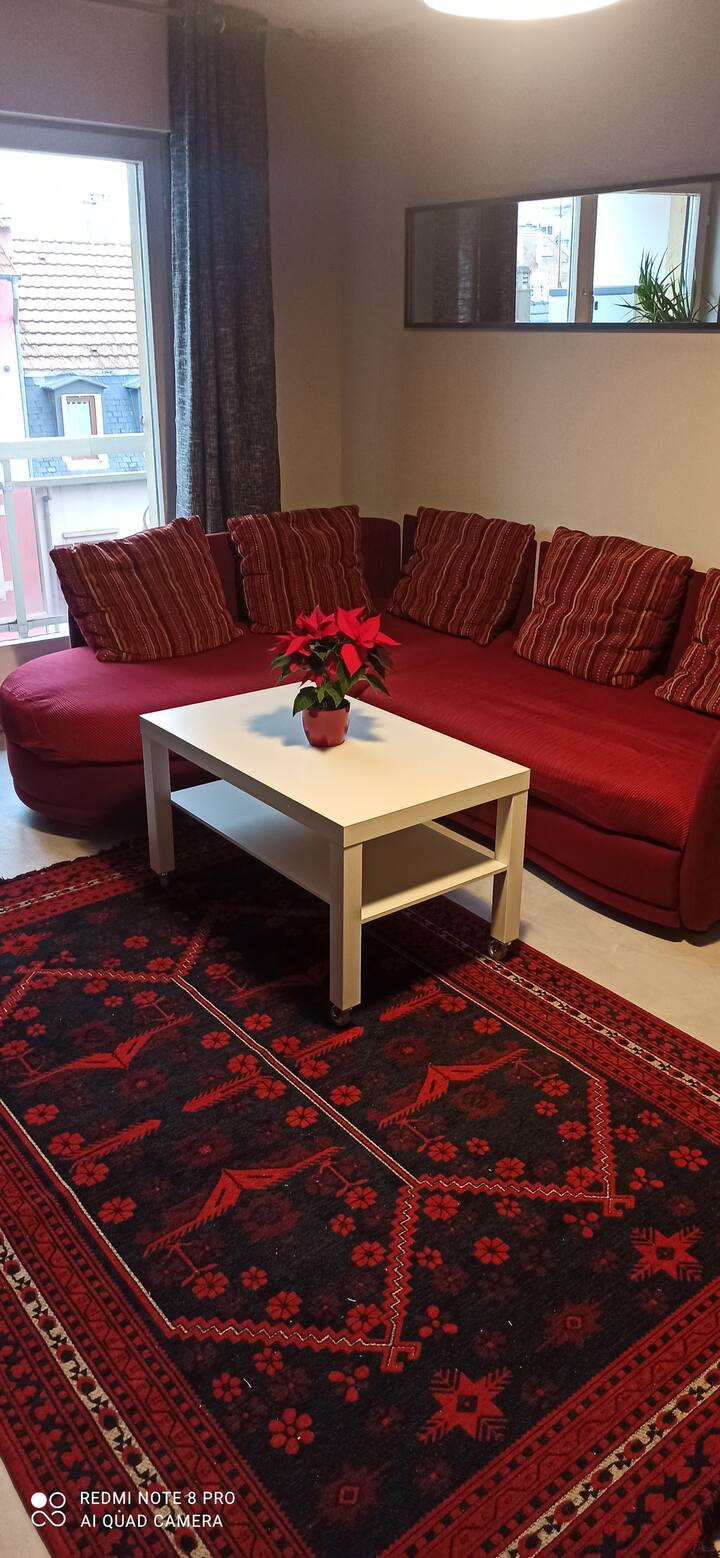 Appartement T2, Tram à 3 Mn - Strasbourg