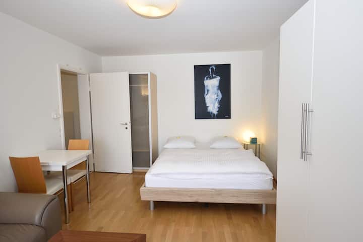 Cozy Studio In The City Center - Mill 5.32 - Zúrich