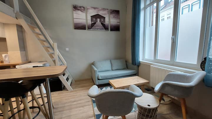 Bel Appartement Lumineux Et Cosy - Lille