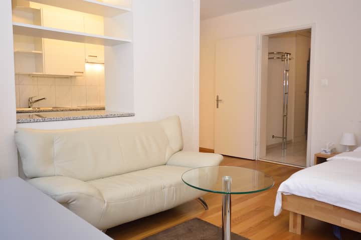 Nice Studio In The City Center - Vineyard 11 - Zürich