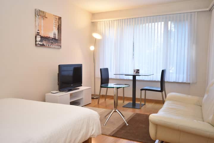 Nice Studio In The City Center - Vineyard 11 - Zürich