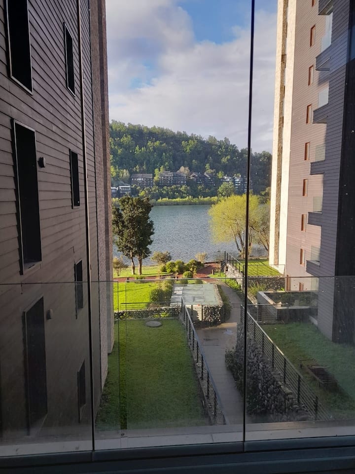 Departamento En Parque Pinares - Pucón