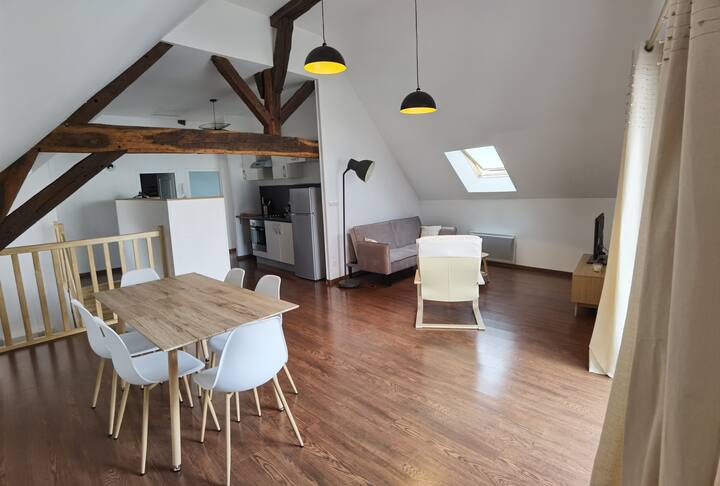 Appartement- Gîte Du Chat Qui Dort - Beaugency
