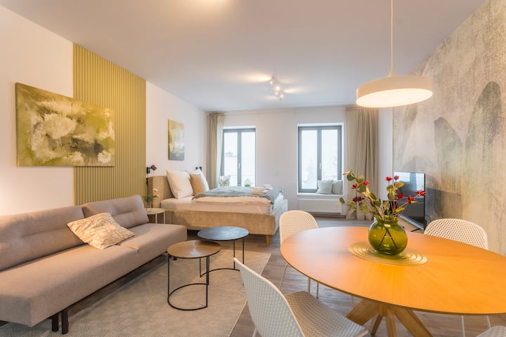 Abertamy Platz - Studiový Apartmán 301/8 - Johanngeorgenstadt